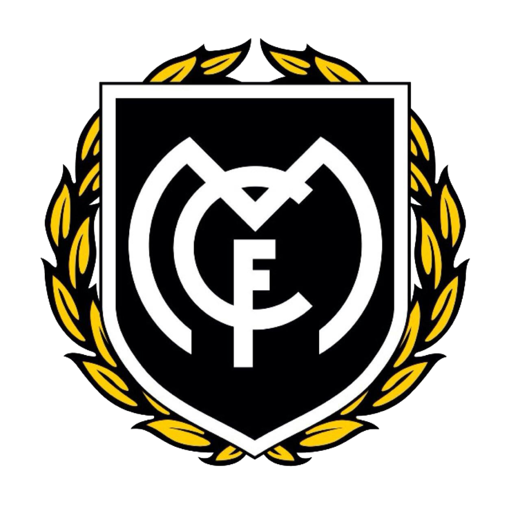 Historia – ULTRAS SUR